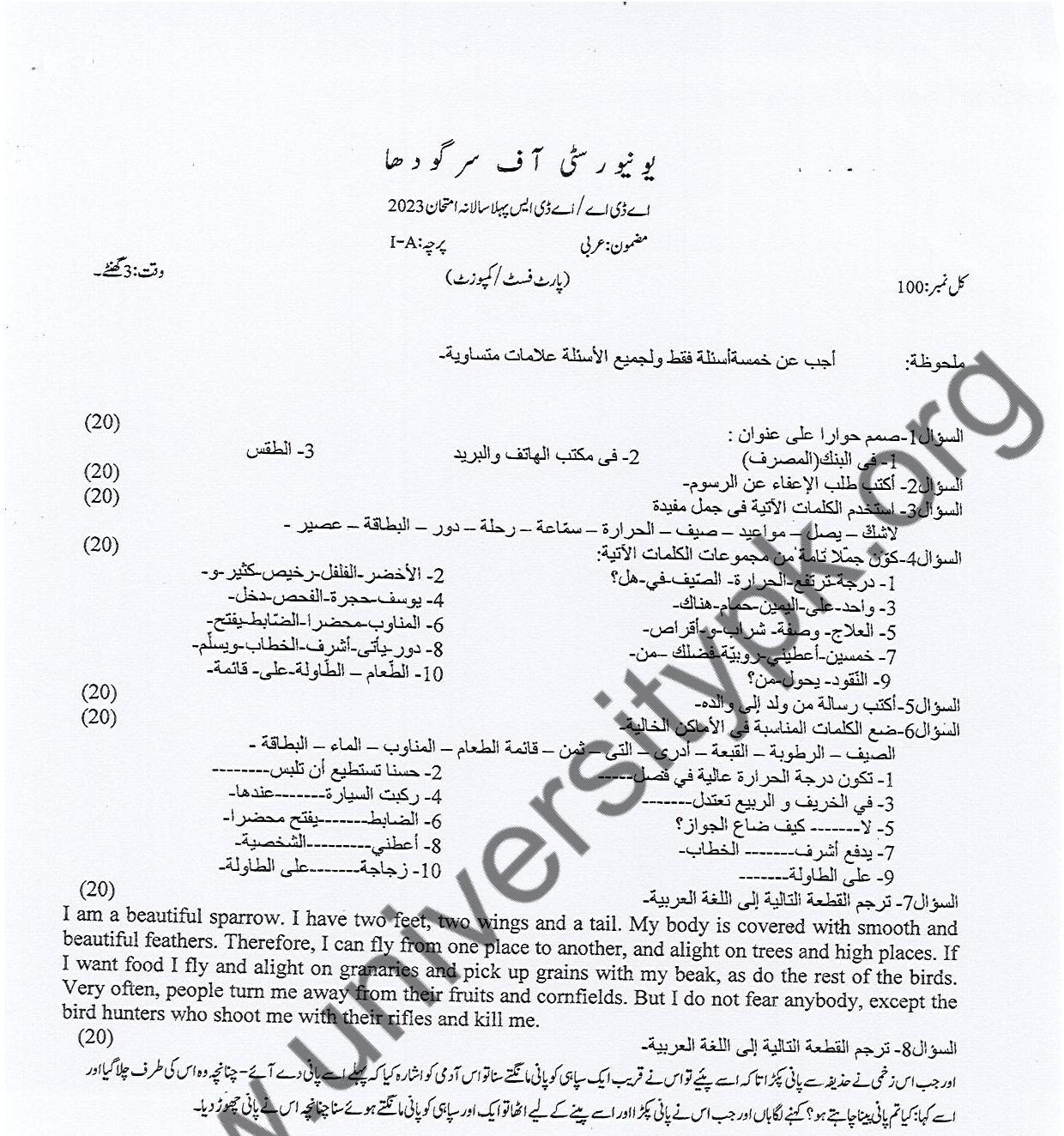 Arabic Elective / Optional ADA/ADS/BA/BSc UOS Past Papers 2023 - UniversityPK.org: UOS Past ...